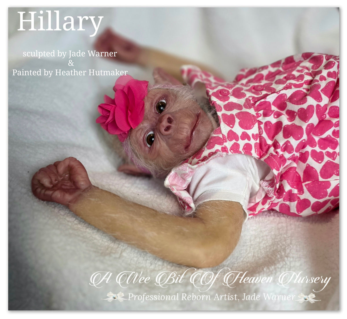 Hillary (prototype)Vinyl Reborn Chimpanzee Available – A Wee Bit Of ...