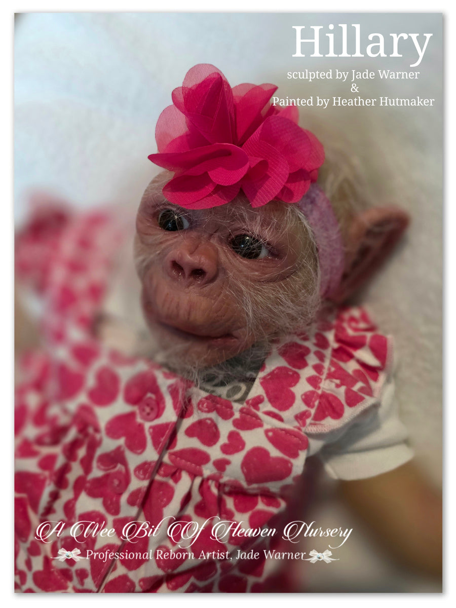 Hillary (prototype)Vinyl Reborn Chimpanzee Available – A Wee Bit Of ...