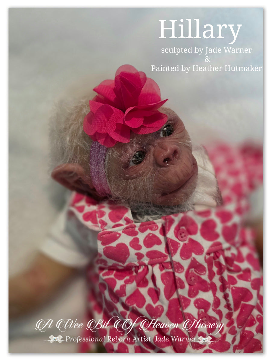 Hillary (prototype)Vinyl Reborn Chimpanzee Available – A Wee Bit Of ...